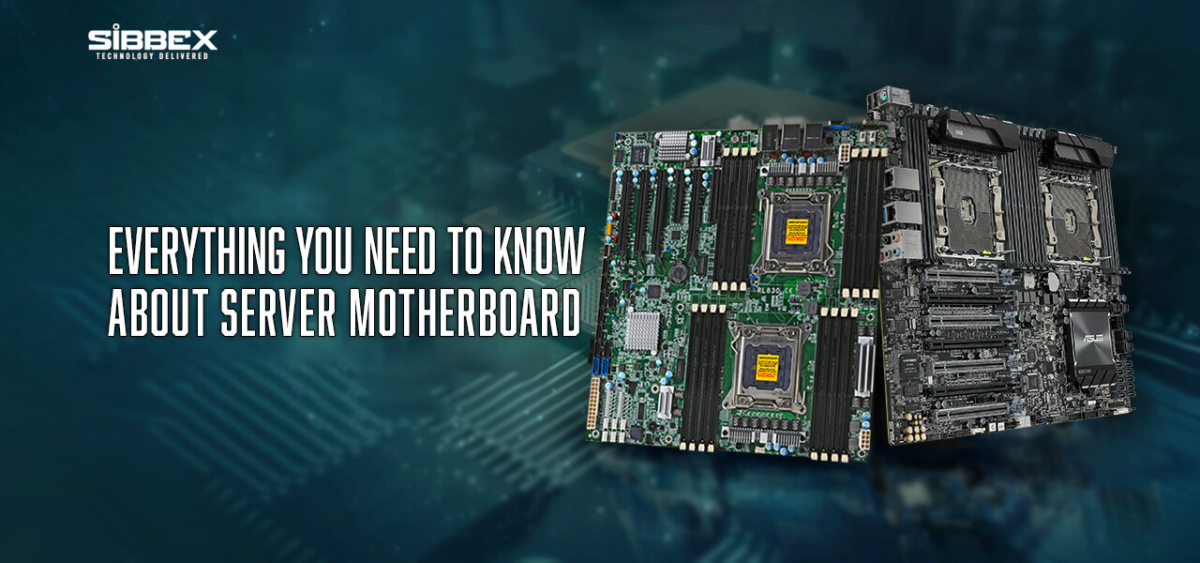 Everything You Need To Know About Server Motherboard - Sibbex
